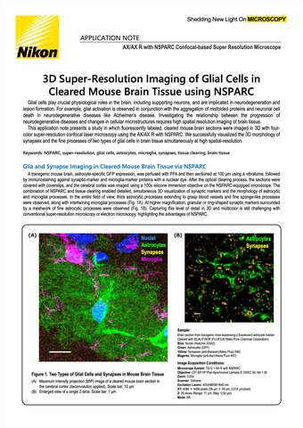 3D Super-Resolution Imaging Of Glial Cells In Cleared Mouse Brain ...
